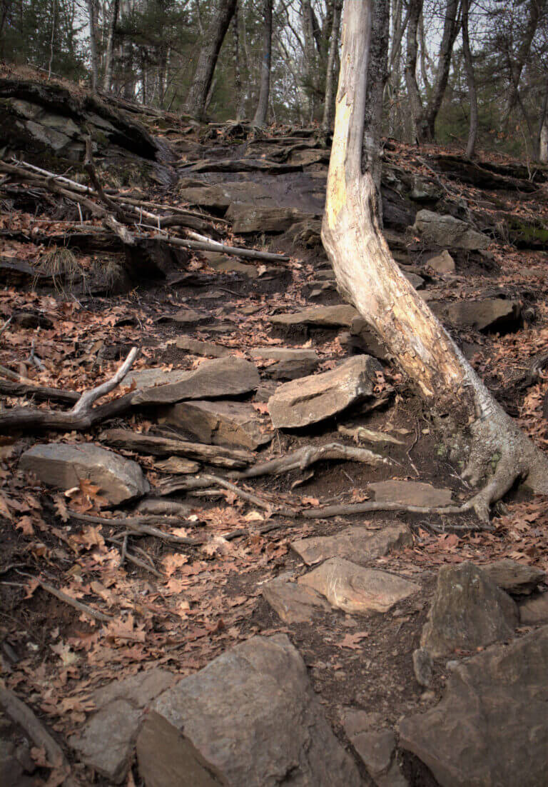 Miller State Park / Pack Monadnock - New Hampshire Live Free And Explore