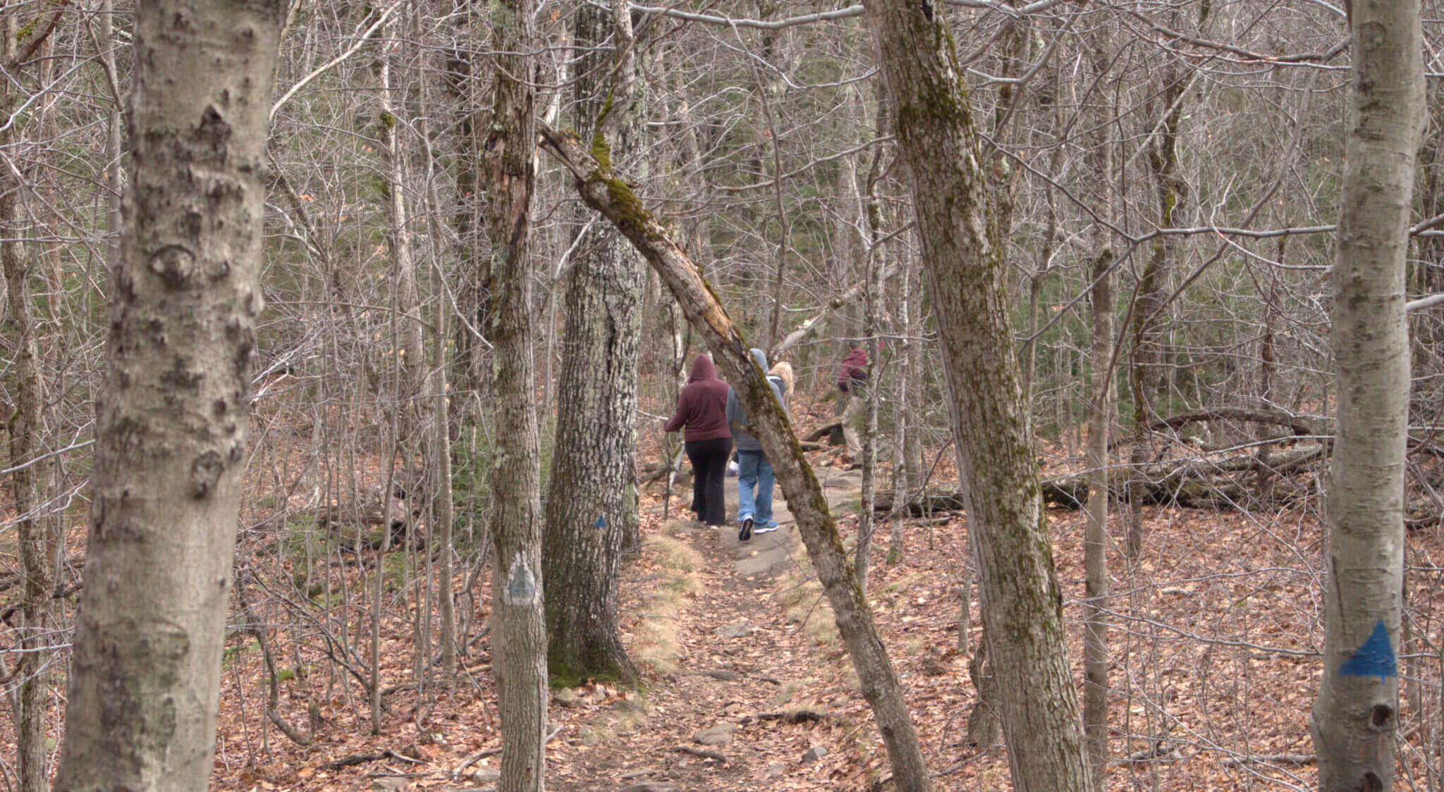 Miller State Park / Pack Monadnock - New Hampshire Live Free And Explore