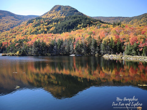 White Mountains Region Foliage Tour - New Hampshire Live Free And Explore