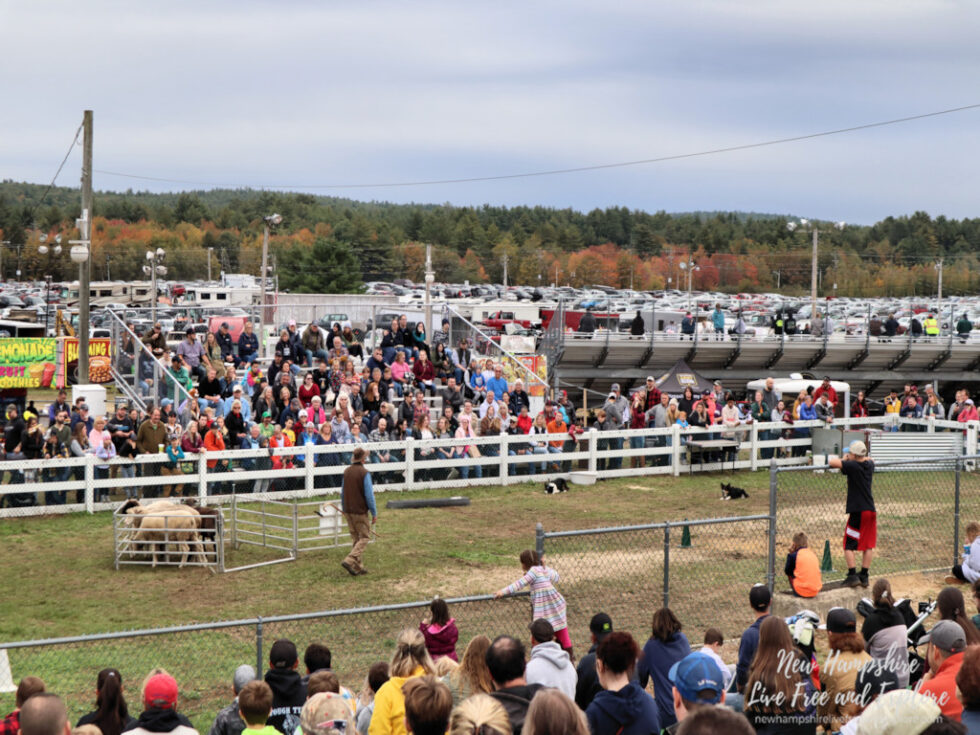 The Deerfield Fair, Deerfield, NH - New Hampshire Live Free And Explore