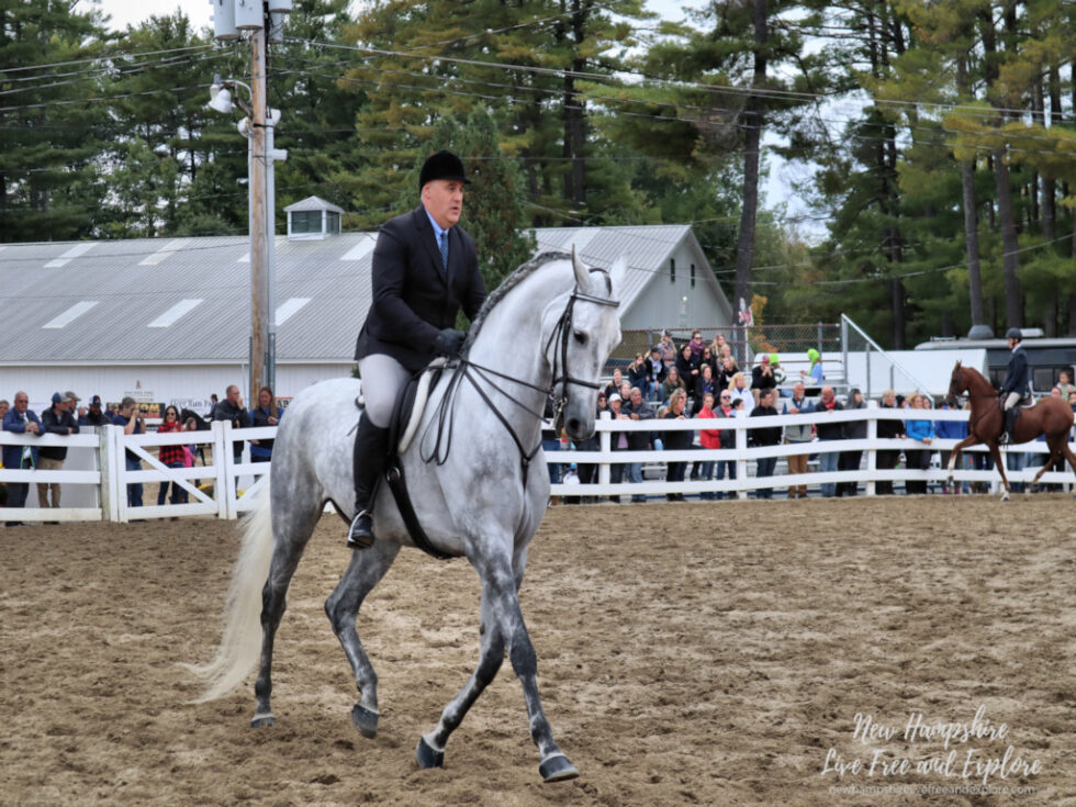 The Deerfield Fair, Deerfield, NH - New Hampshire Live Free And Explore