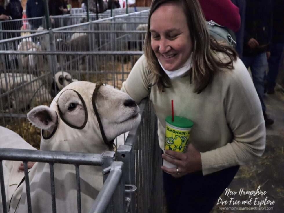 The Deerfield Fair, Deerfield, NH - New Hampshire Live Free And Explore