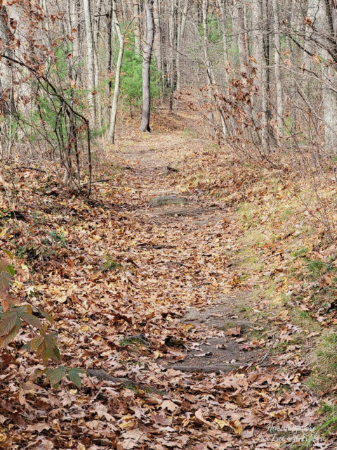 Derry, New Hampshire - New Hampshire Live Free And Explore